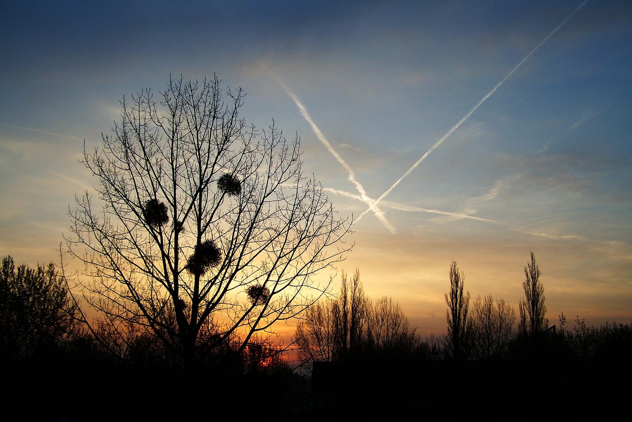 Sunrise Mood Sky - Free photo on Pixabay - Pixabay