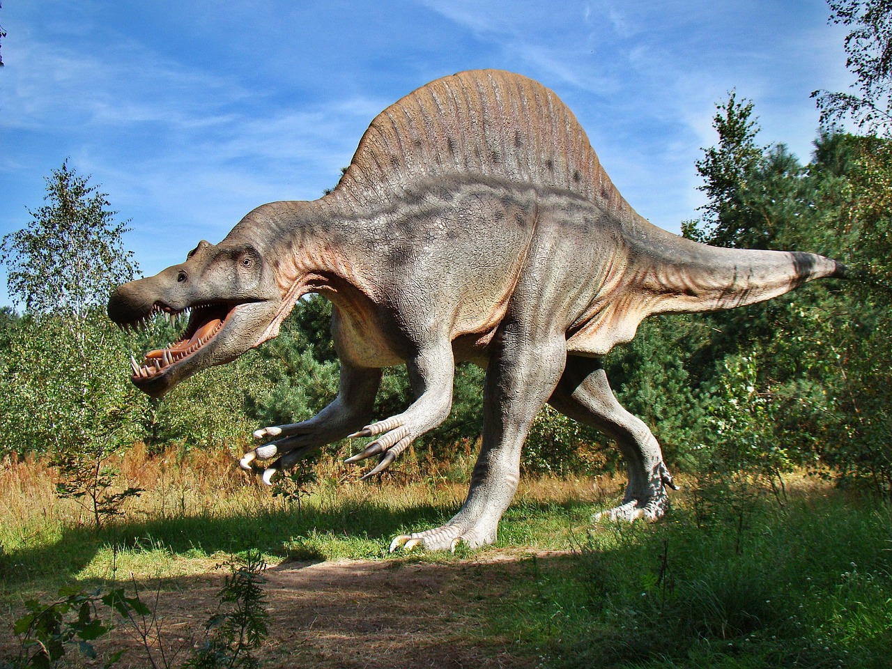 20 000 Free Children Dinosaur Dinosaur Images Pixabay