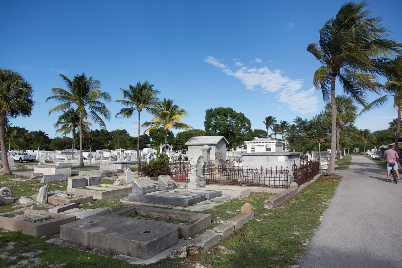 Cemetery Key West Florida Palm - Free photo on Pixabay