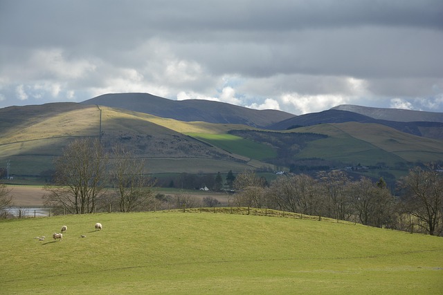 Scottish Nature Landscape - Free photo on Pixabay