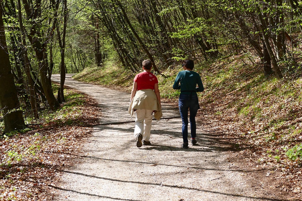 Wandern Wald Natur - Kostenloses Foto auf Pixabay - Pixabay