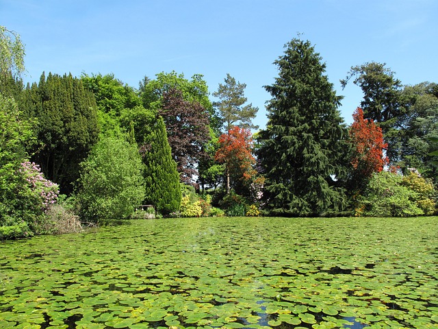 Jardines Parque Naturaleza - Foto gratis en Pixabay - Pixabay