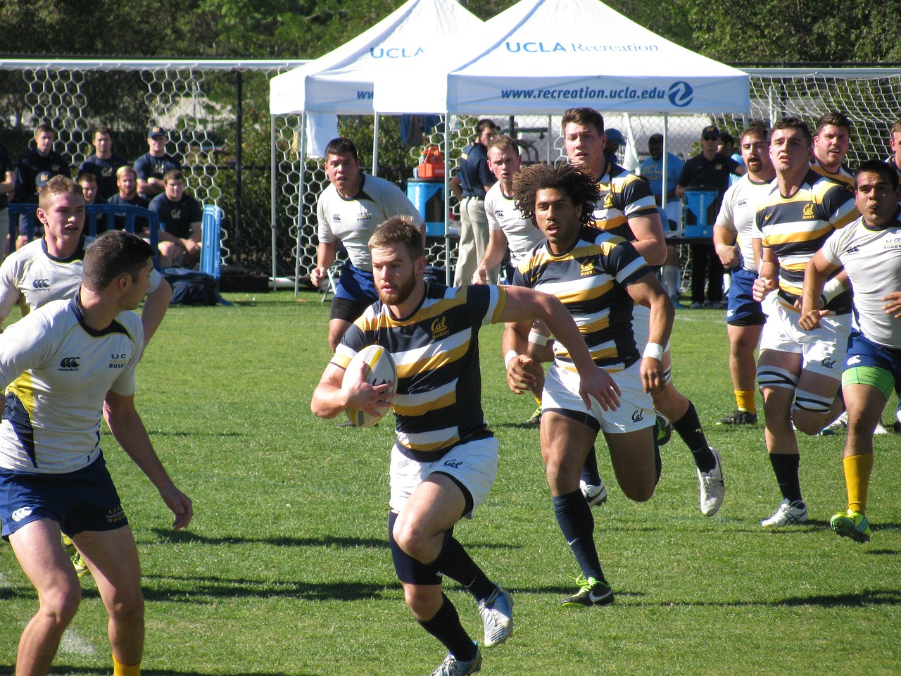 Le Rugby Cal Berkeley - Photo gratuite sur Pixabay - Pixabay