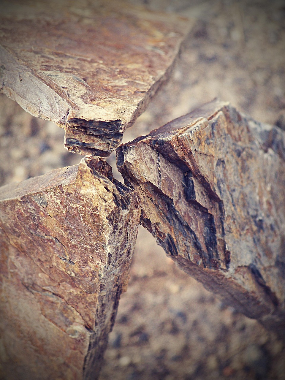 Natural Calculus - Free photo on Pixabay - Pixabay