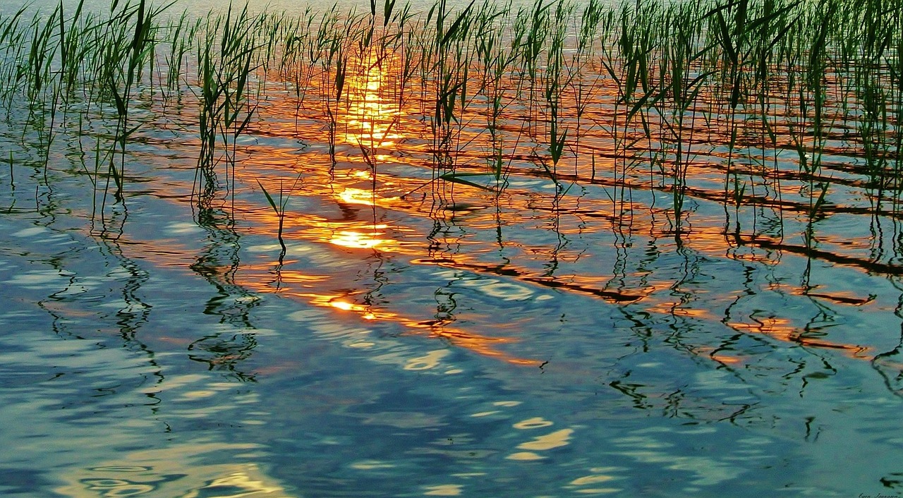 Summer Sunset - Free photo on Pixabay