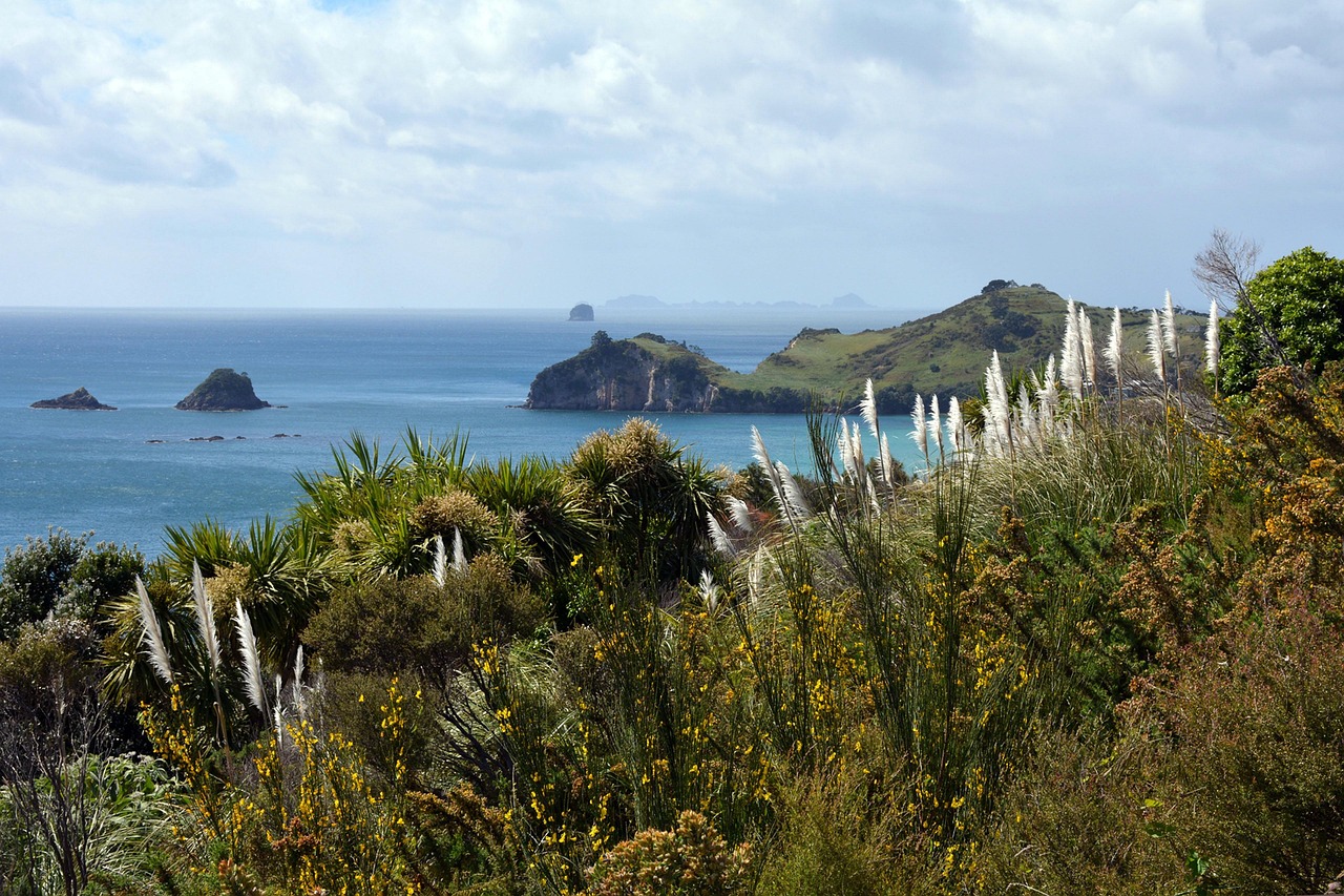 Coromandel Peninsula New Zealand - Free photo on Pixabay