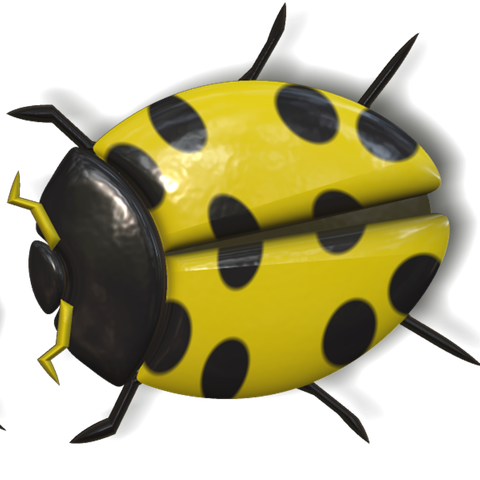 100+ Free Yellow Ladybug & Ladybug Images - Pixabay
