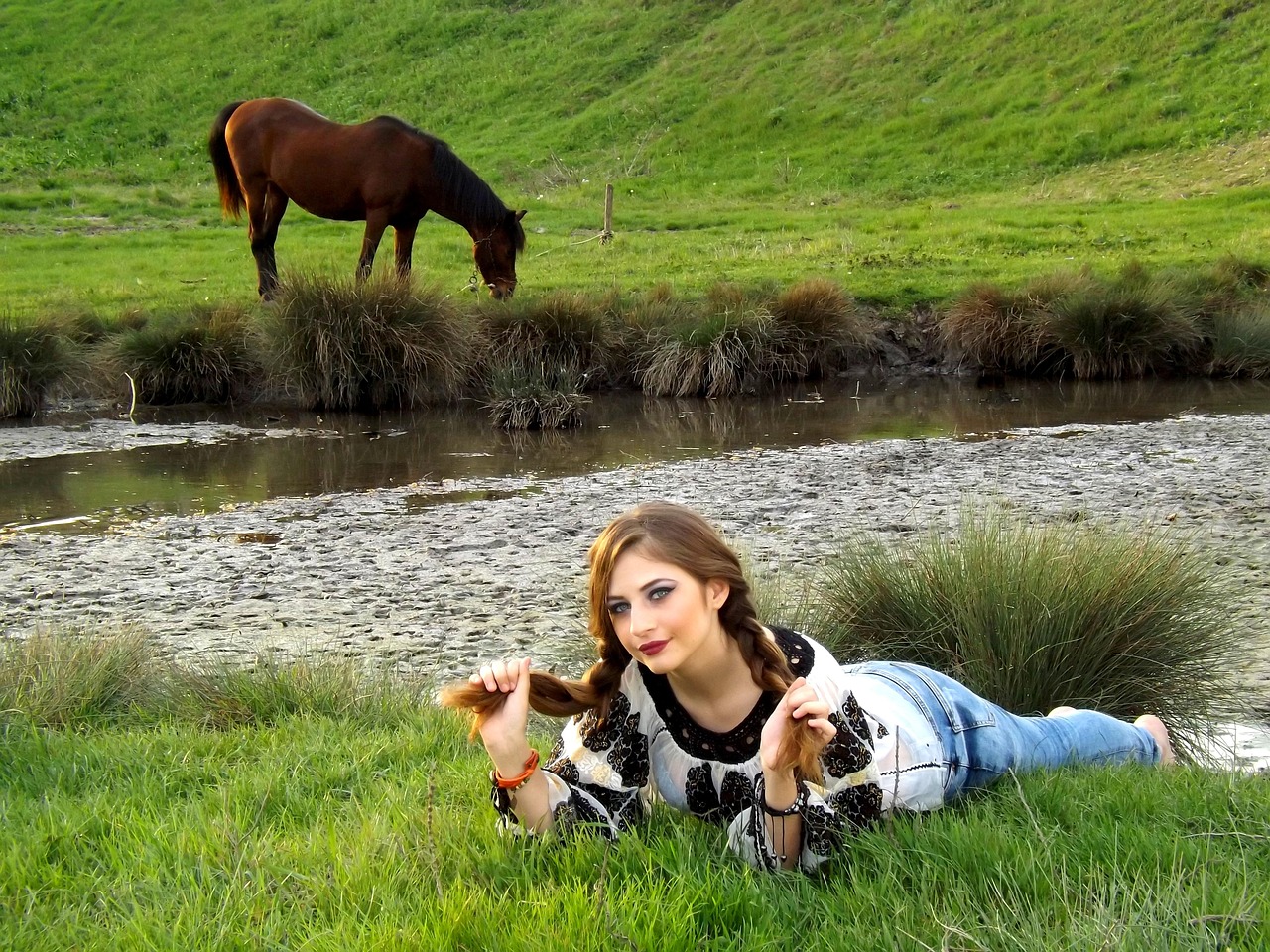 Rostro Caballo Rústico - Foto gratis en Pixabay - Pixabay