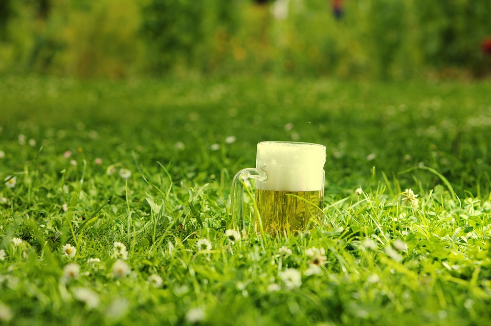 Bierkrug Wiese Trinken Grün · Kostenloses Foto auf Pixabay