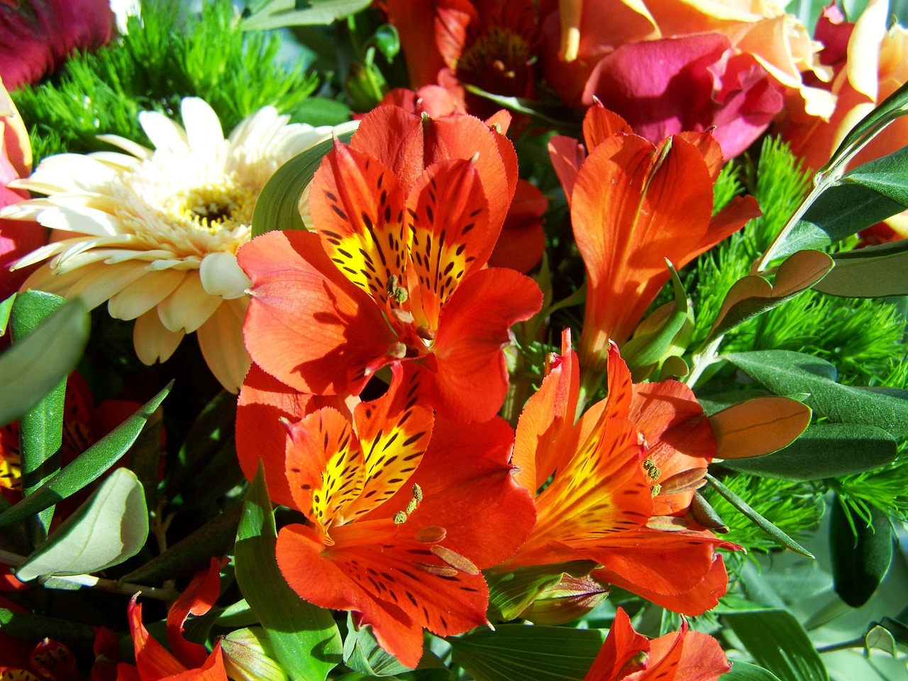 Bouquet Of Flowers Color Cut - Free photo on Pixabay - Pixabay