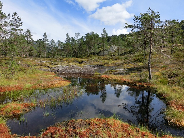 L'Eau Étang Bassin - Photo gratuite sur Pixabay - Pixabay