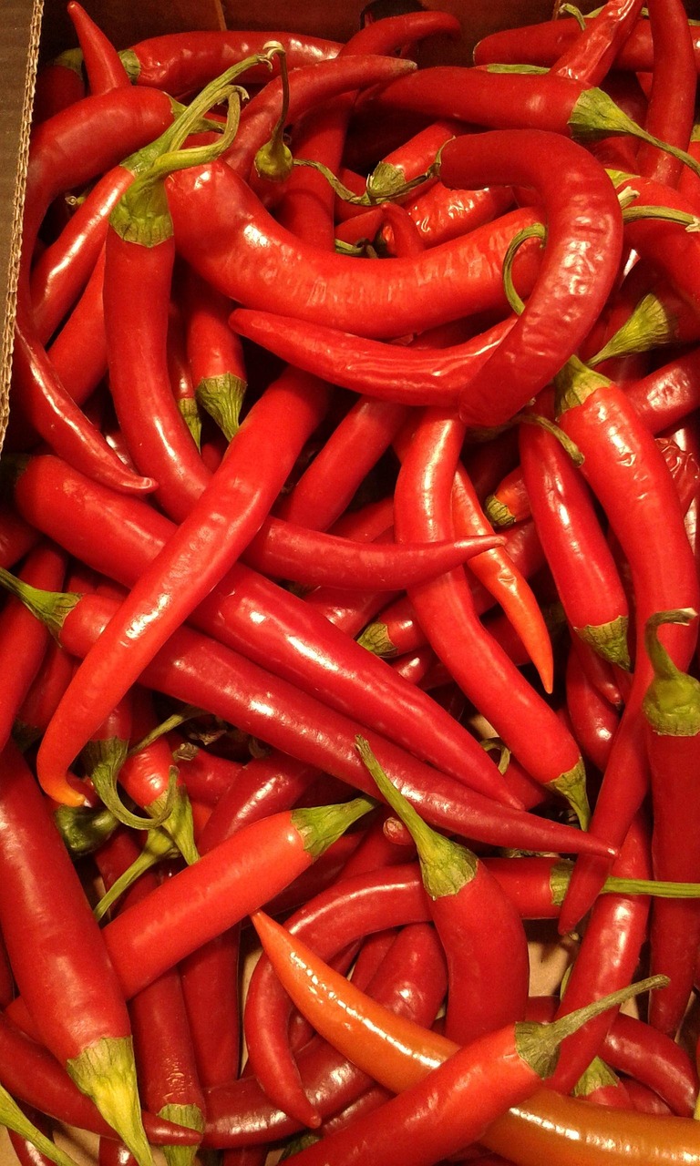 Chile Rojo - Foto gratis en Pixabay - Pixabay