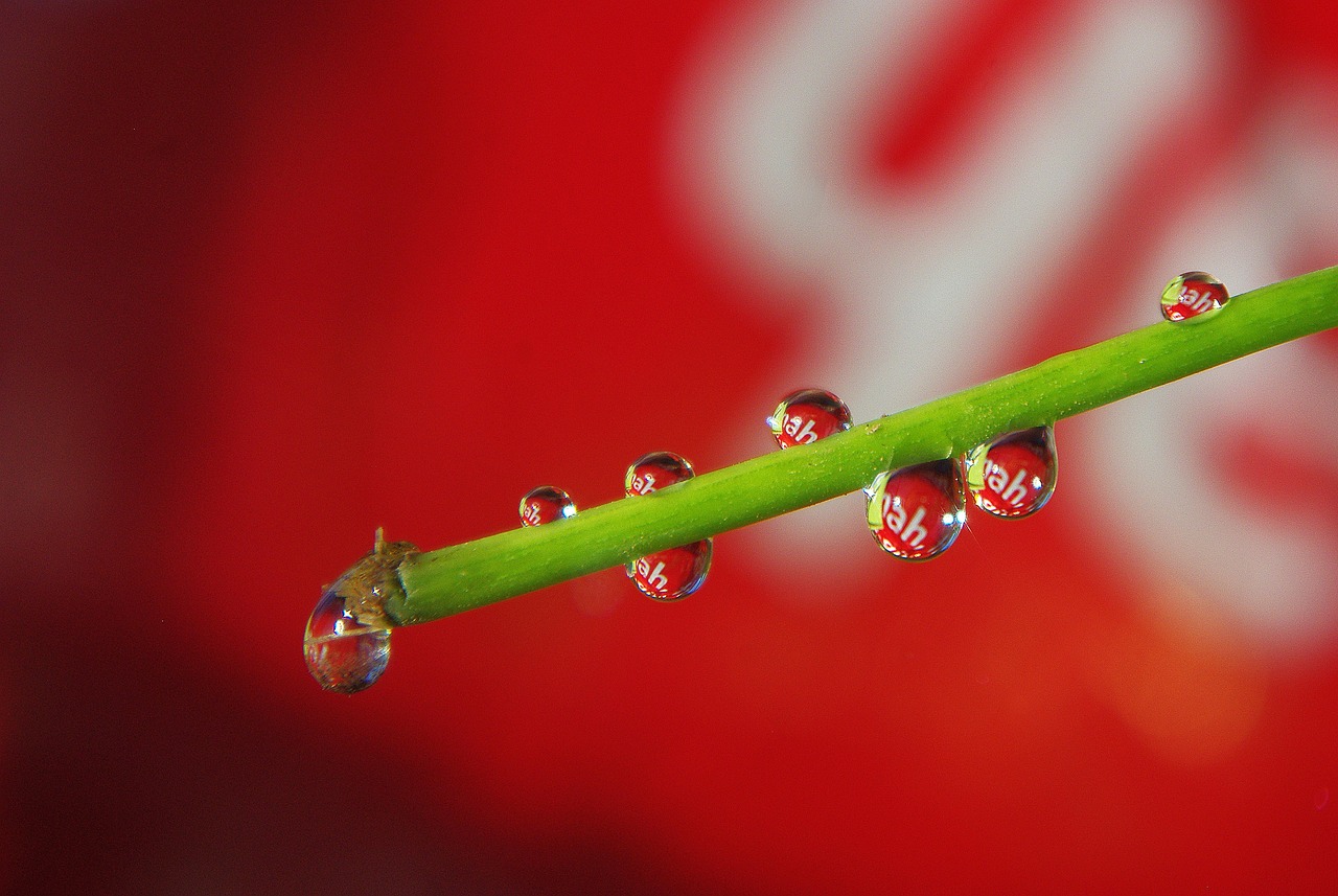 Waterdrop Drops Water - Free photo on Pixabay - Pixabay
