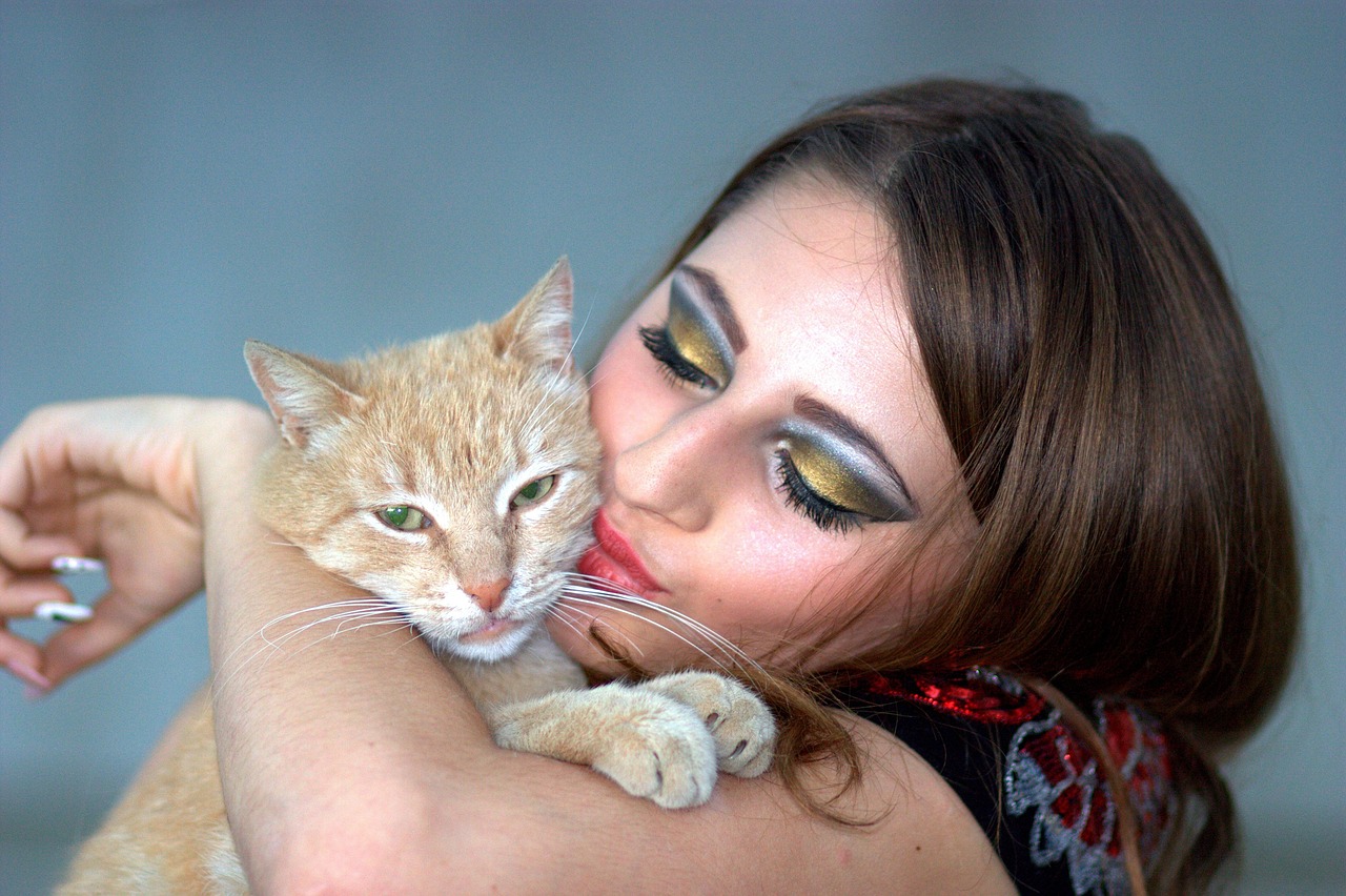 Face The Cat Catlike - Free photo on Pixabay - Pixabay