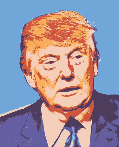 100+ Free Donald Trump & Trump Images - Pixabay