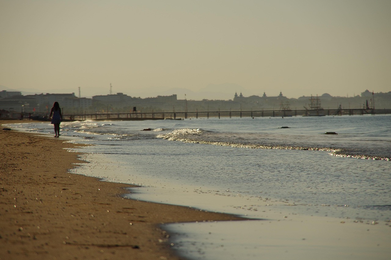 100+ Free Heat Wave & Heat Images - Pixabay