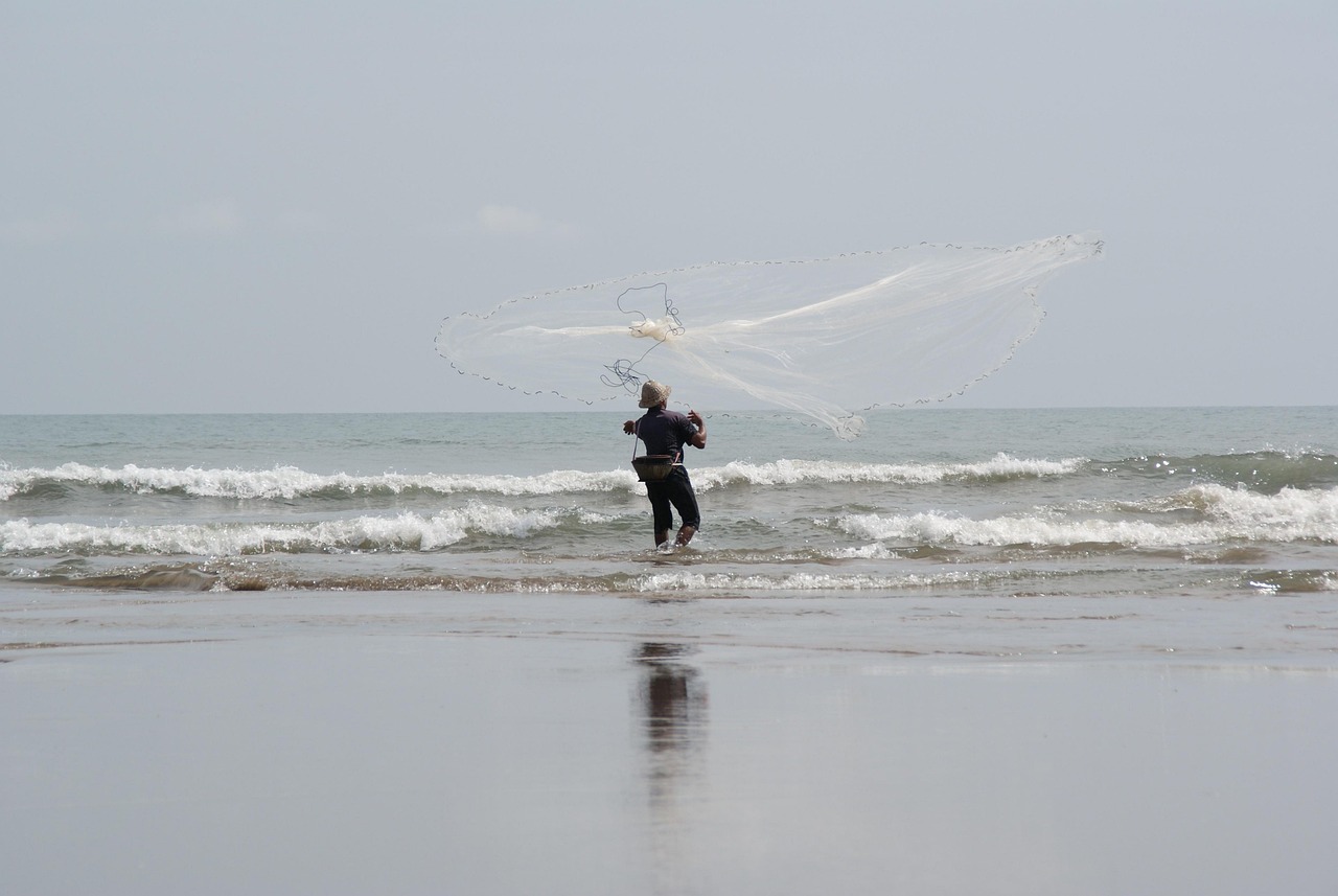 Bali Vissen Oceaan - Gratis foto op Pixabay - Pixabay