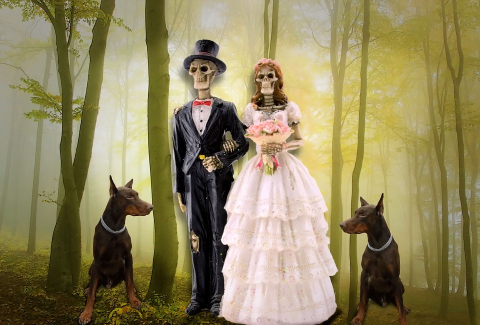 Bride And Groom Skeleton Gothic - Free image on Pixabay