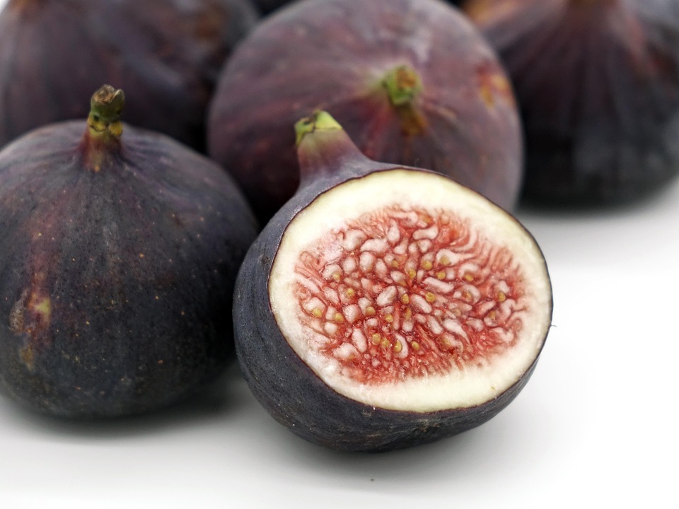 Fig Ficus Carica Fruit - Free photo on Pixabay