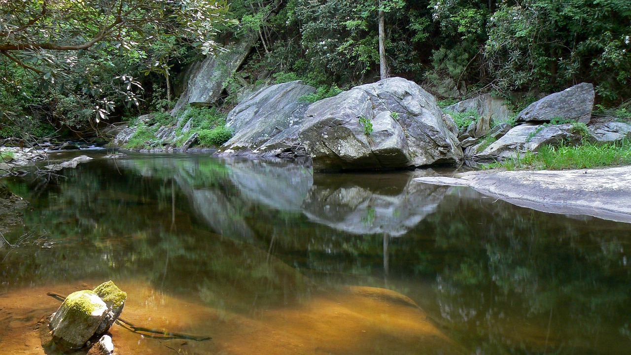 Creek Reflection Sunlight - Free photo on Pixabay