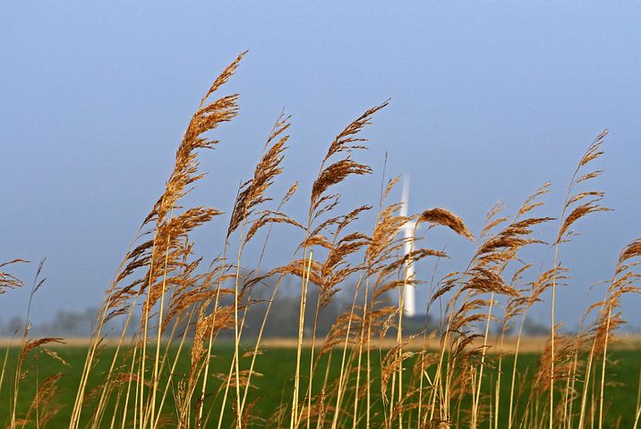 50+ Free Wet Lands & Wet Photos