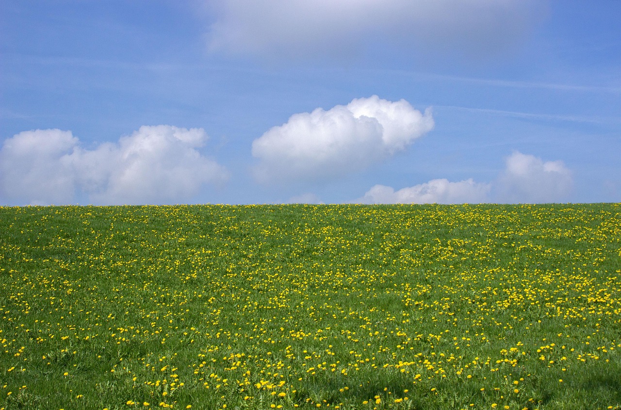 Paysage Prairie Des Nuages - Photo gratuite sur Pixabay - Pixabay
