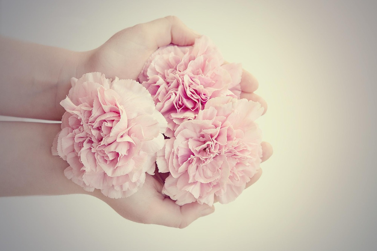 50,000+ Free Flower In Hand & Nature Images - Pixabay