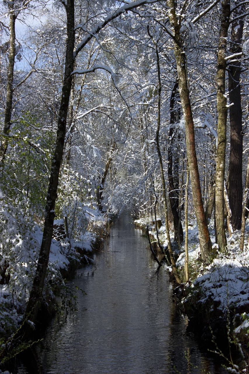Moorland Moor Nature - Free photo on Pixabay