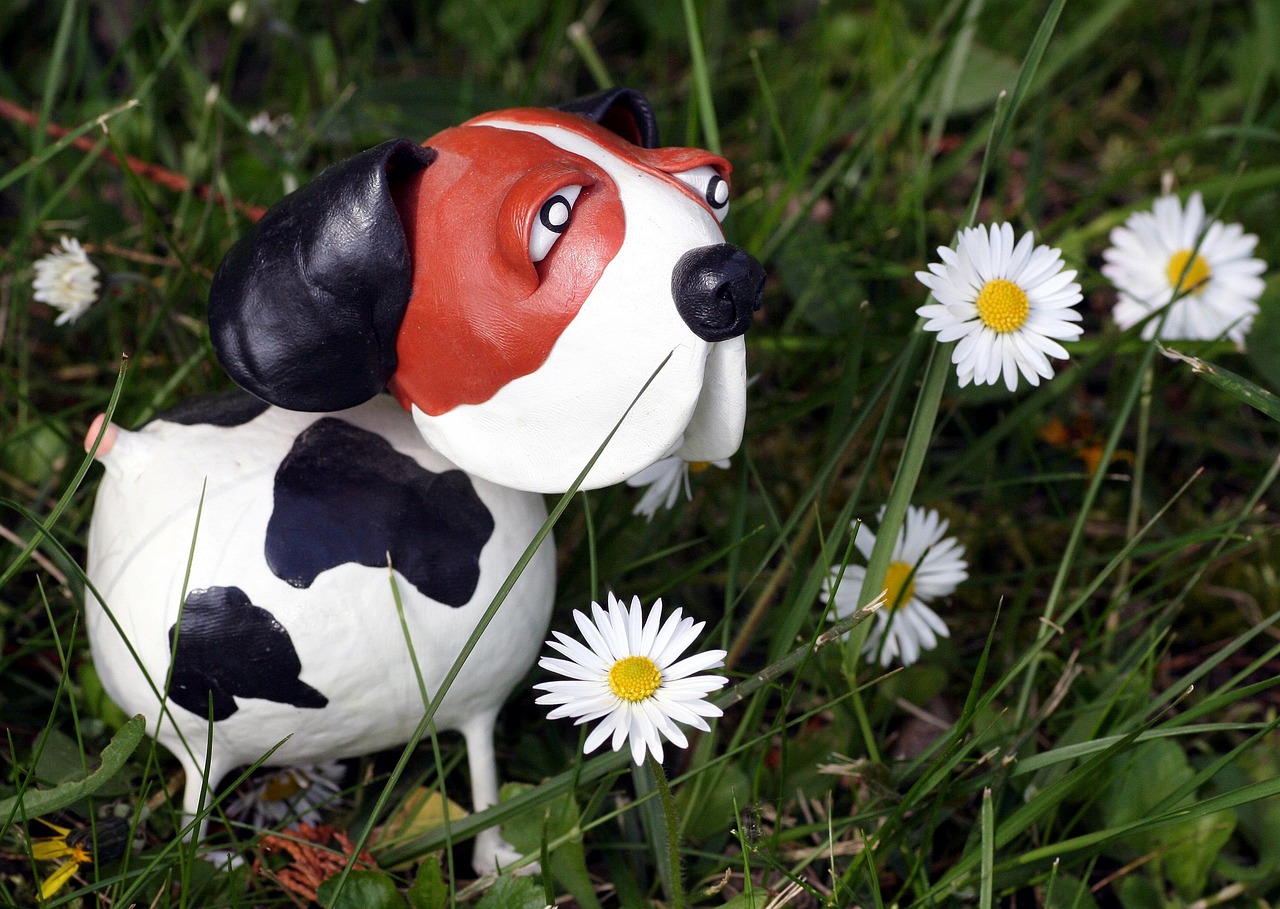 Perro Flores Primavera - Foto gratis en Pixabay - Pixabay