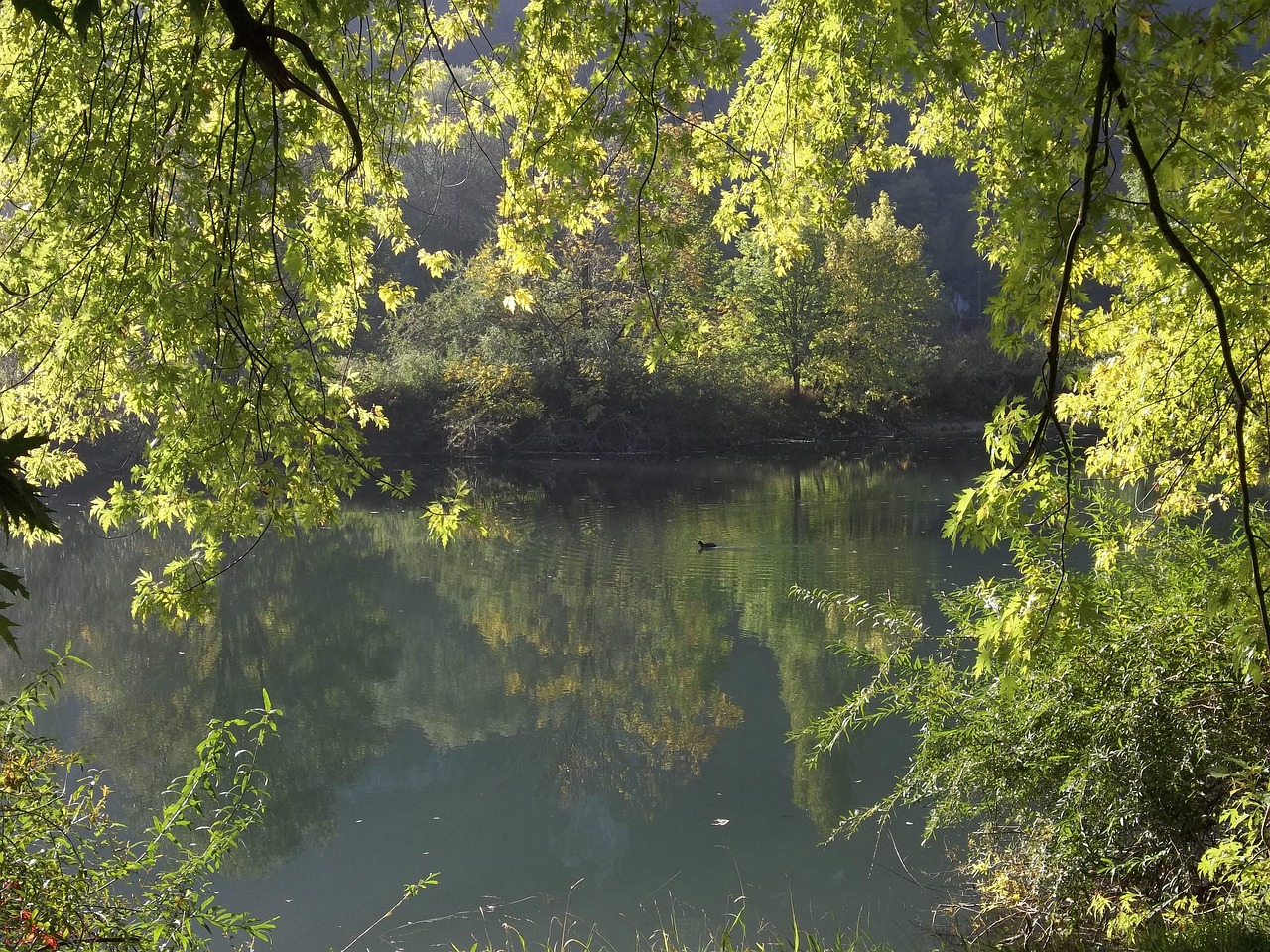Natur Wasserläufen - Kostenloses Foto auf Pixabay - Pixabay
