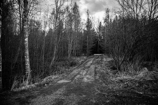 Dark Country Road Black And White - Free photo on Pixabay - Pixabay