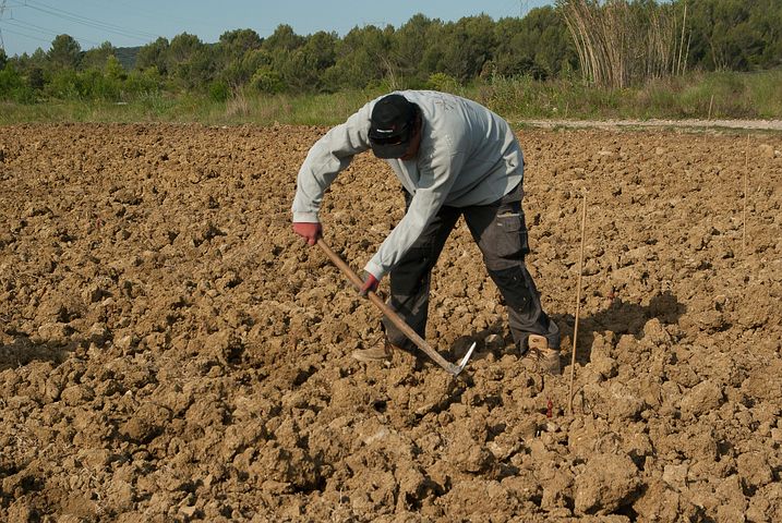 4,000+ Free Farmer & Agriculture Images - Pixabay