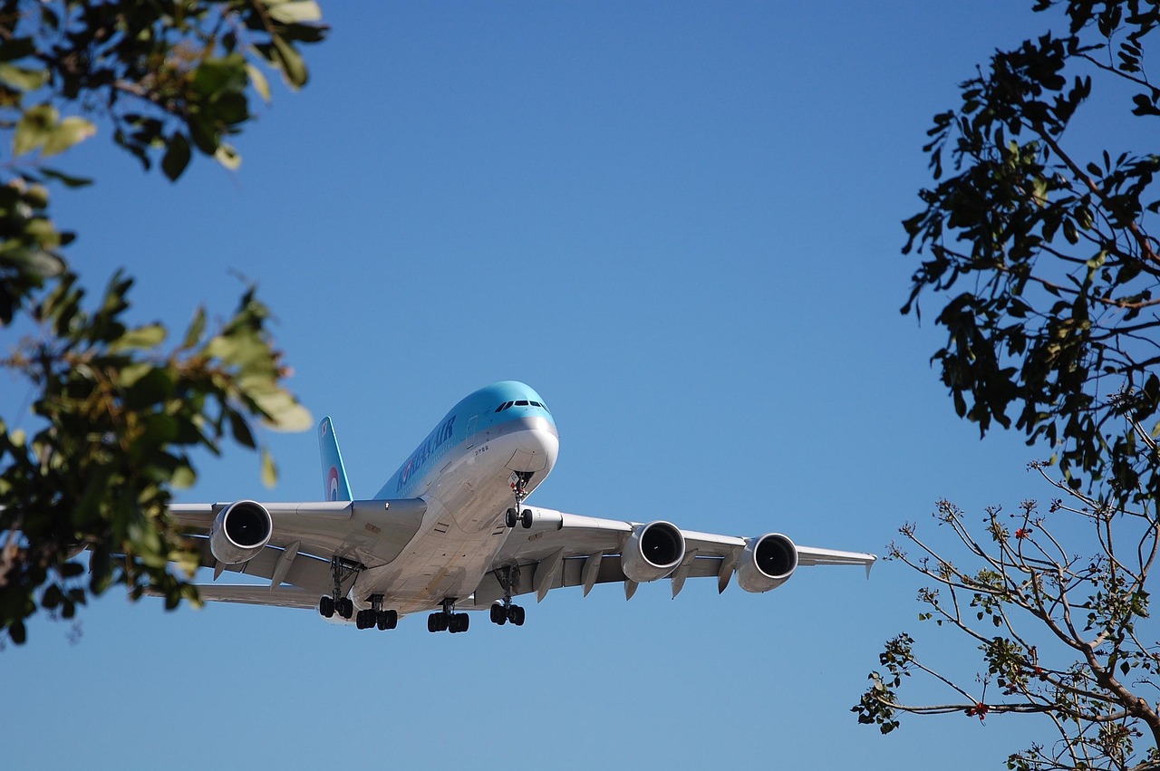 Plane Landing Air - Free photo on Pixabay - Pixabay