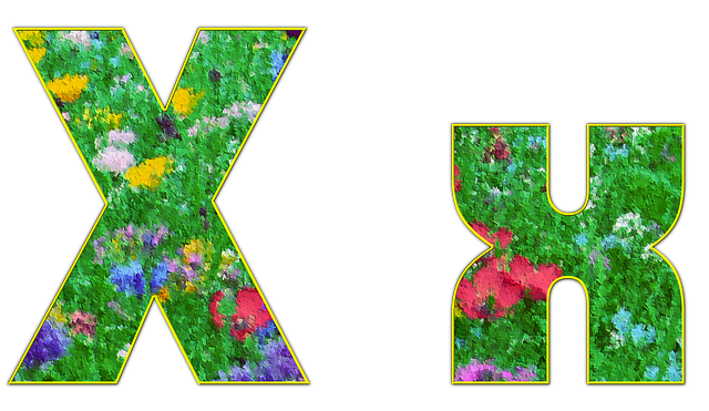 X Buchstabe Alphabet - Kostenloses Bild auf Pixabay