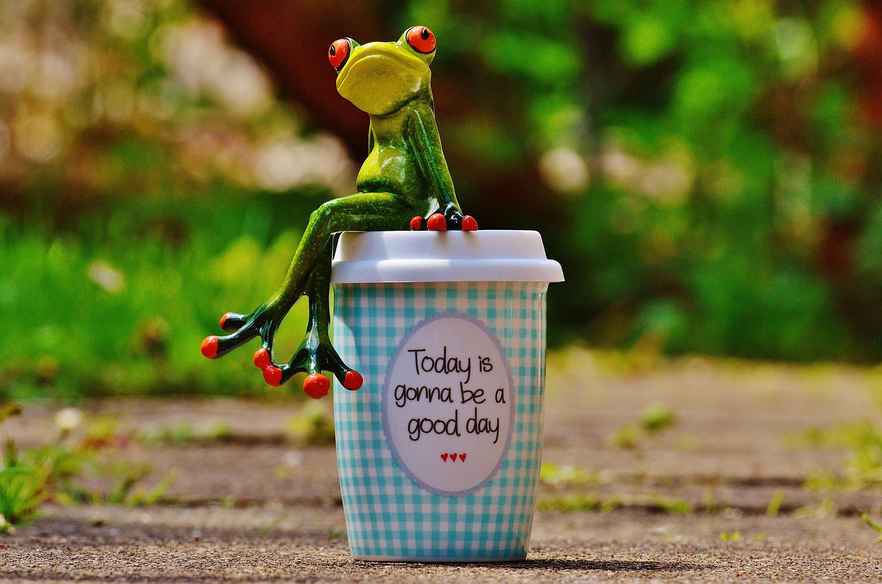 Nice Day Frogs Happy Frog Day : R/frogs
