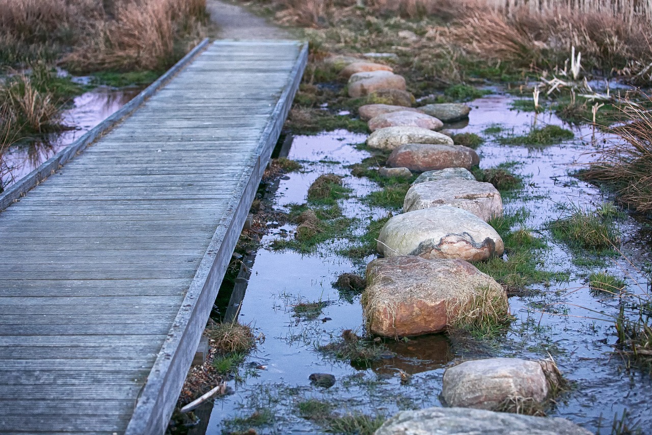 Choice Bridge Stepping Stone - Free photo on Pixabay