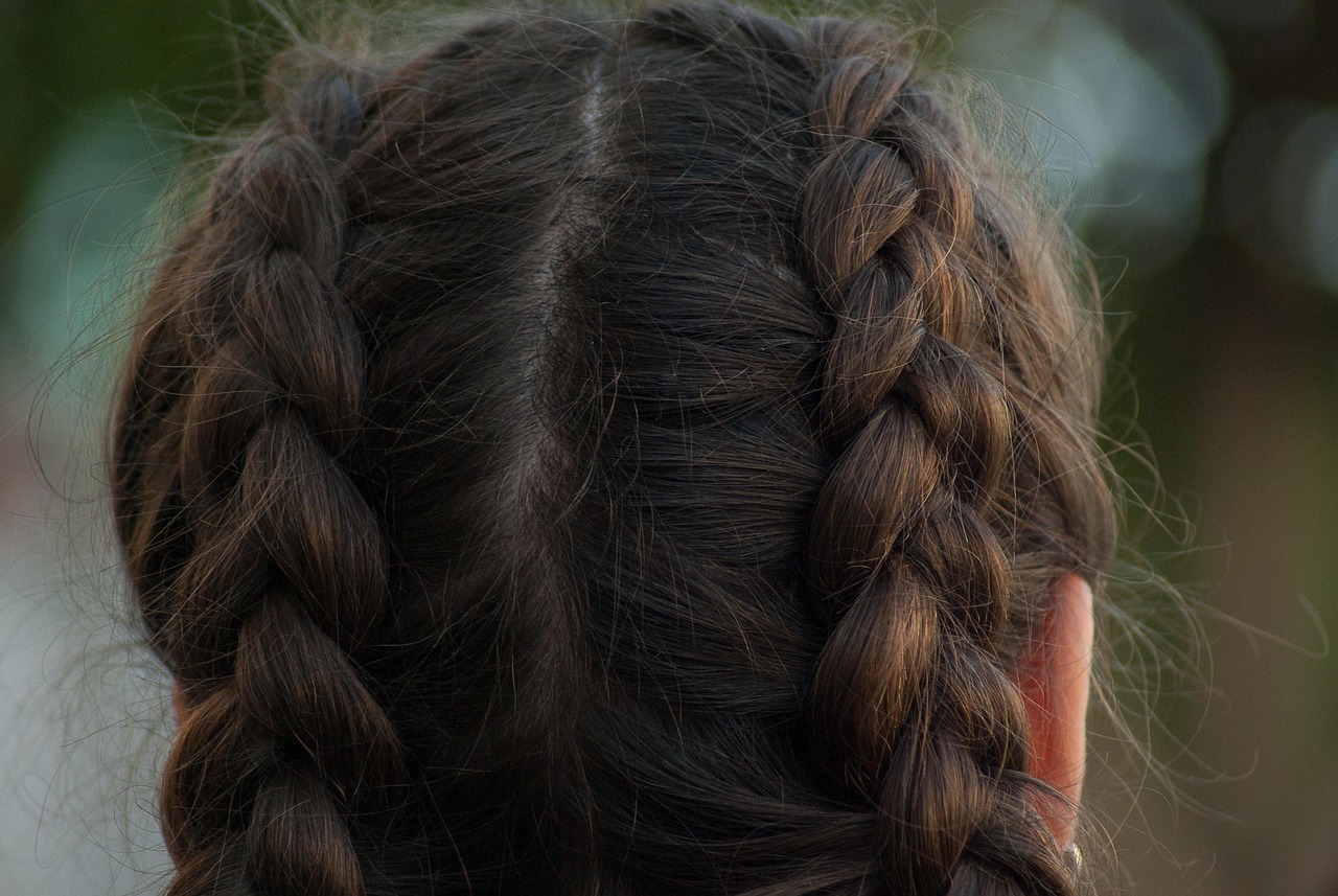 30,000+ Free Hair Braid & Hair Images - Pixabay