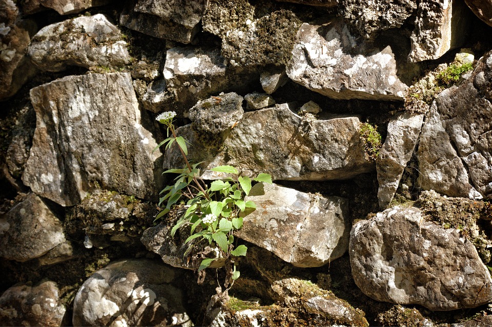Quarry Stone Wall Texture - Free photo on Pixabay - Pixabay