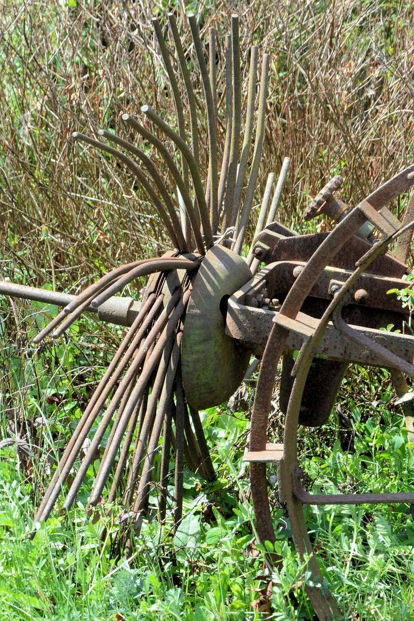 Potato Harvester - Free photo on Pixabay - Pixabay