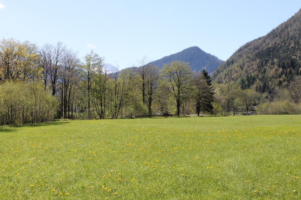 Aumônier Prairie Montagnes - Photo gratuite sur Pixabay - Pixabay