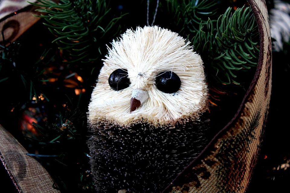Toy Gift Decoration - Free photo on Pixabay - Pixabay