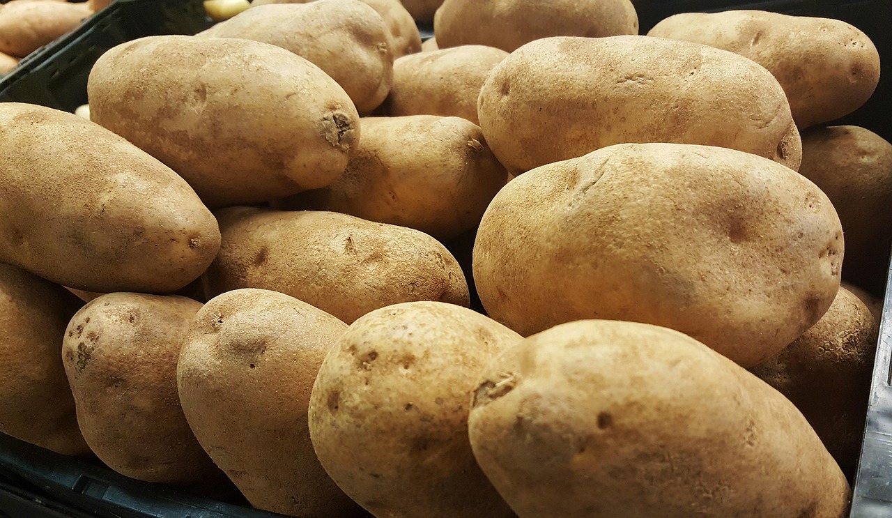 Potatoes Tubers Russet - Free photo on Pixabay - Pixabay