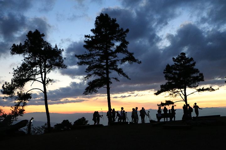 30+ Free Dang & Nature Photos - Pixabay