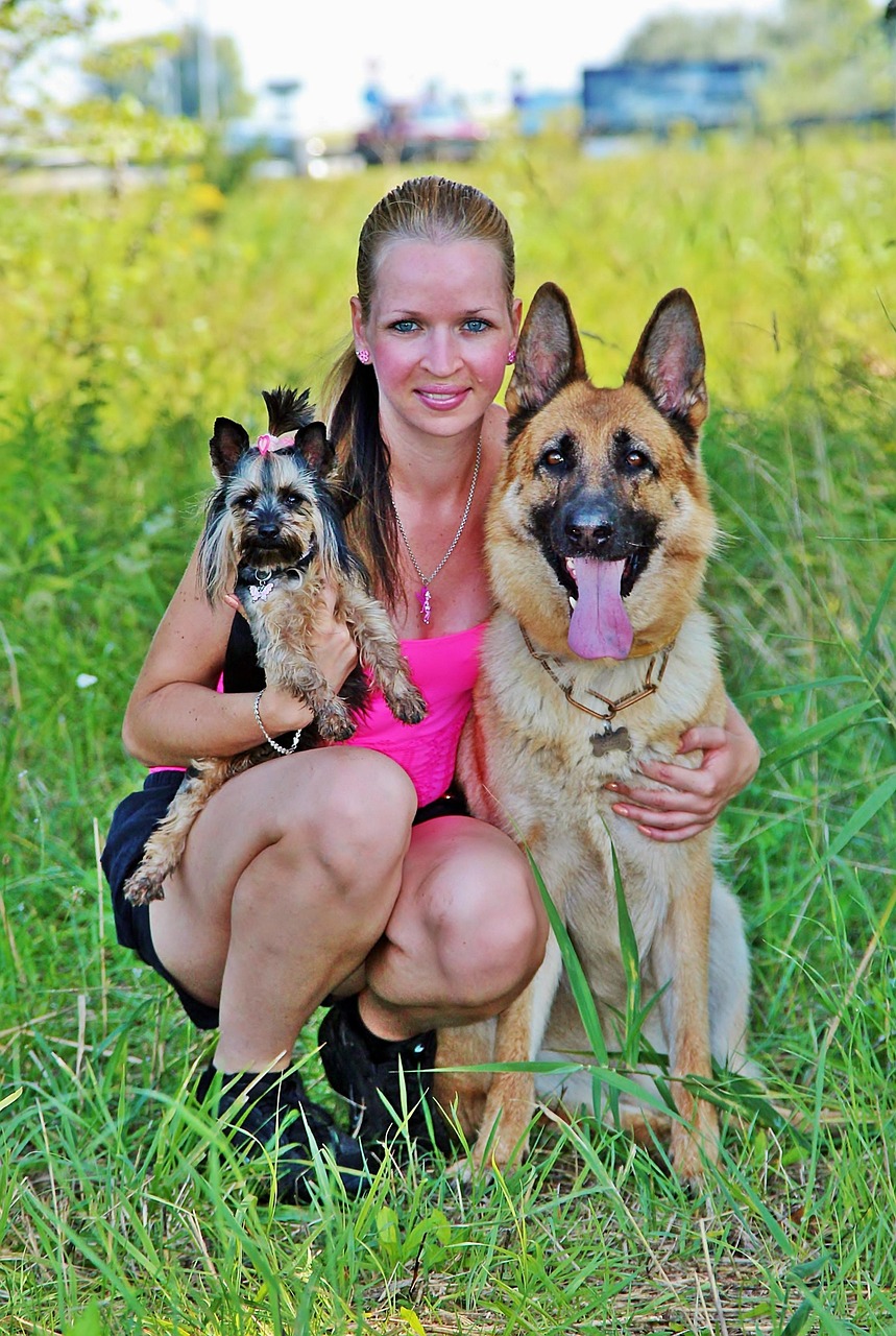 Woman Dogs Yorkie German - Free photo on Pixabay - Pixabay