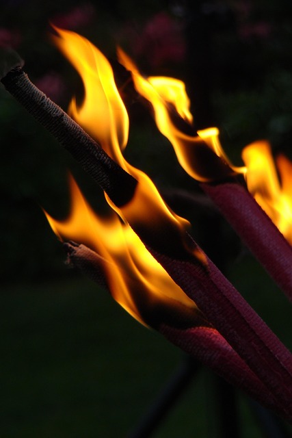 Día De La Conmemoración Antorcha - Foto gratis en Pixabay - Pixabay