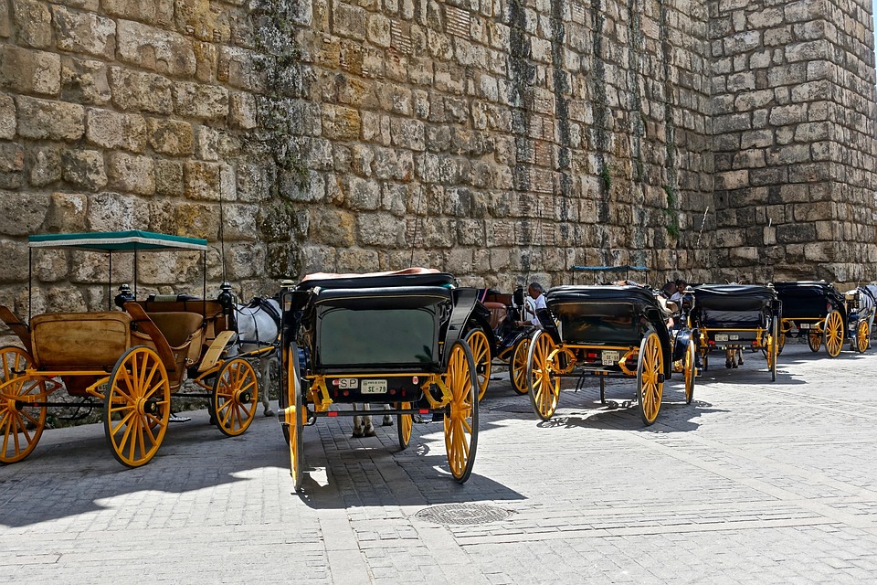 Carriage Horses Traditional - Free photo on Pixabay