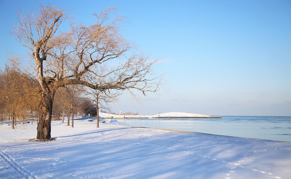 Chicago Nieve Agua - Foto gratis en Pixabay - Pixabay