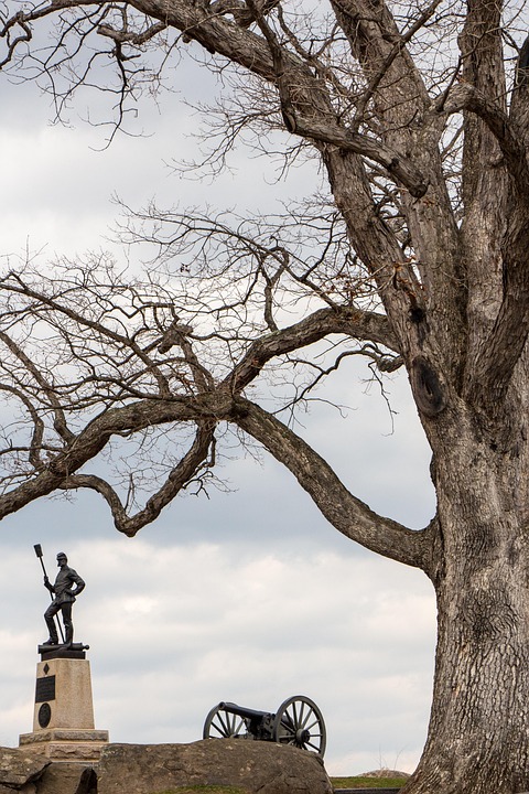 Civil War Tree Scene - Free photo on Pixabay - Pixabay