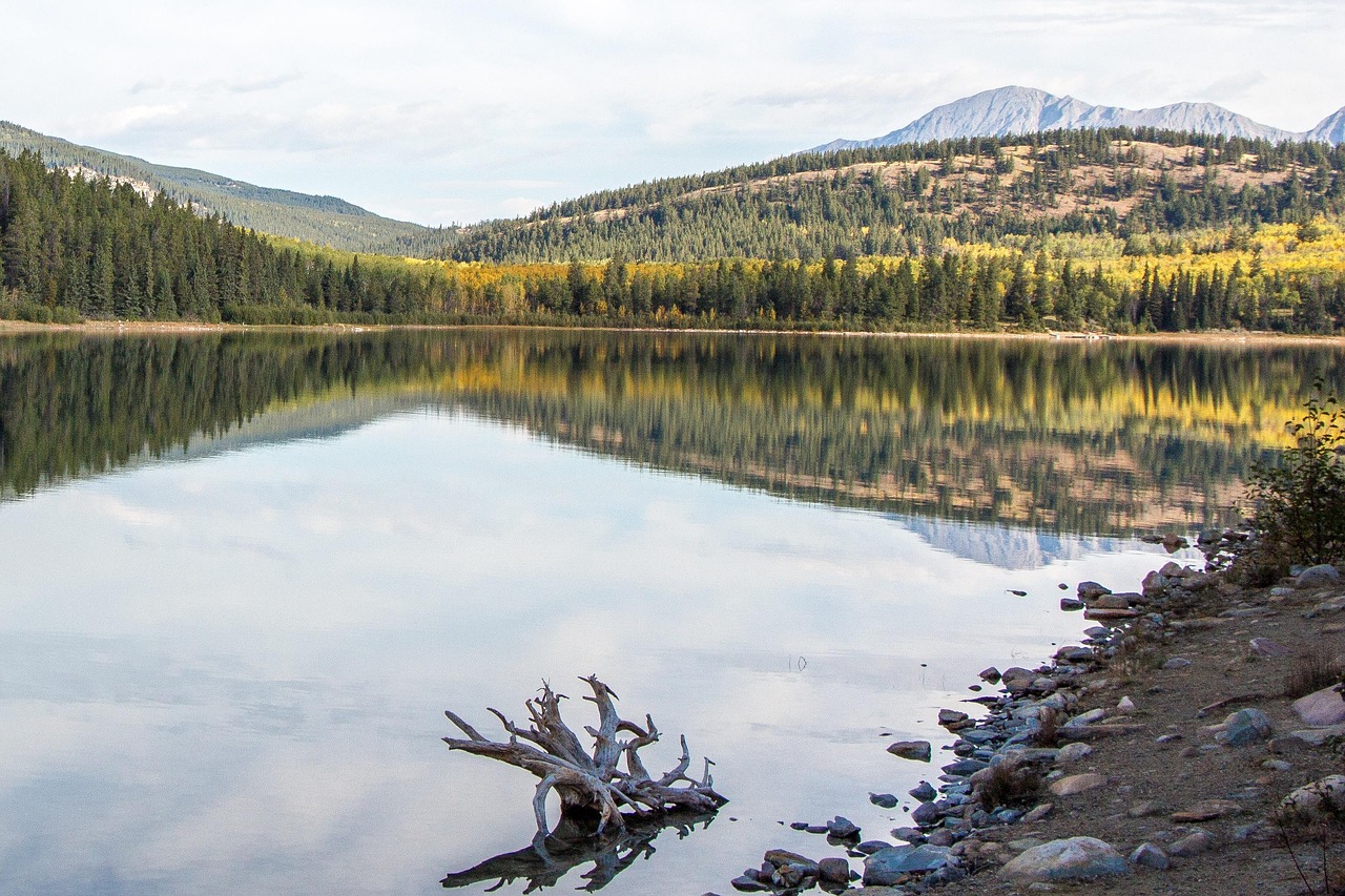 Patricia Lake Jasper - Free photo on Pixabay - Pixabay