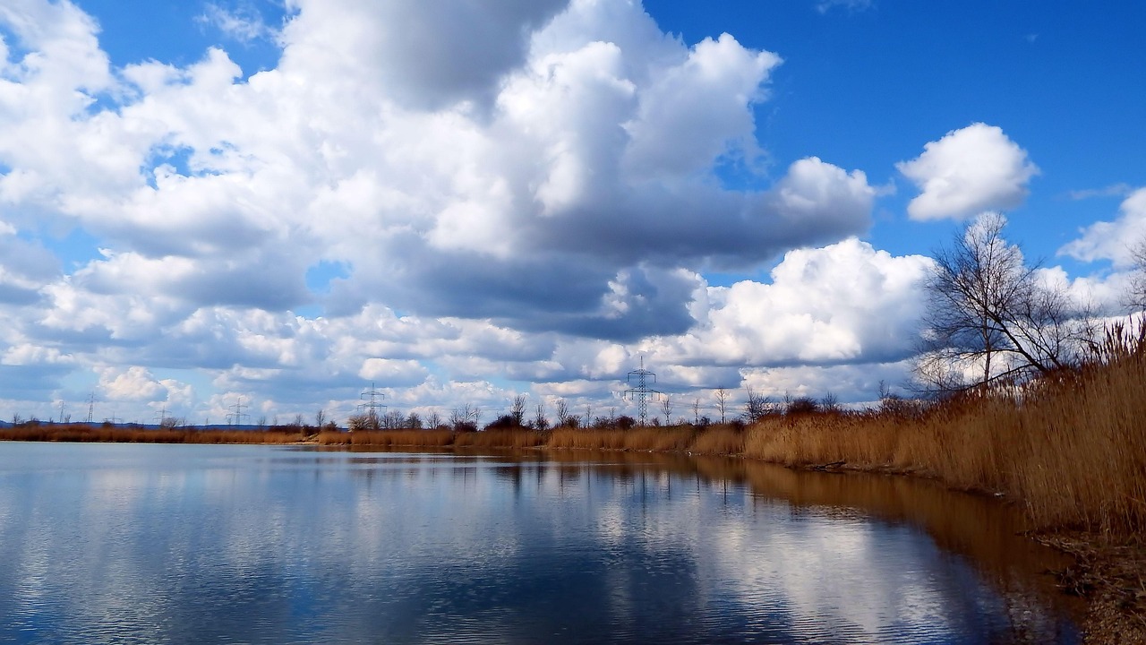 Clouds Swelling Reed - Free photo on Pixabay - Pixabay Clouds Swelling Reed - Free photo on Pixabay - Pixabay